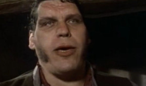 The Extraordinary Life And Sad End Of André The Giant